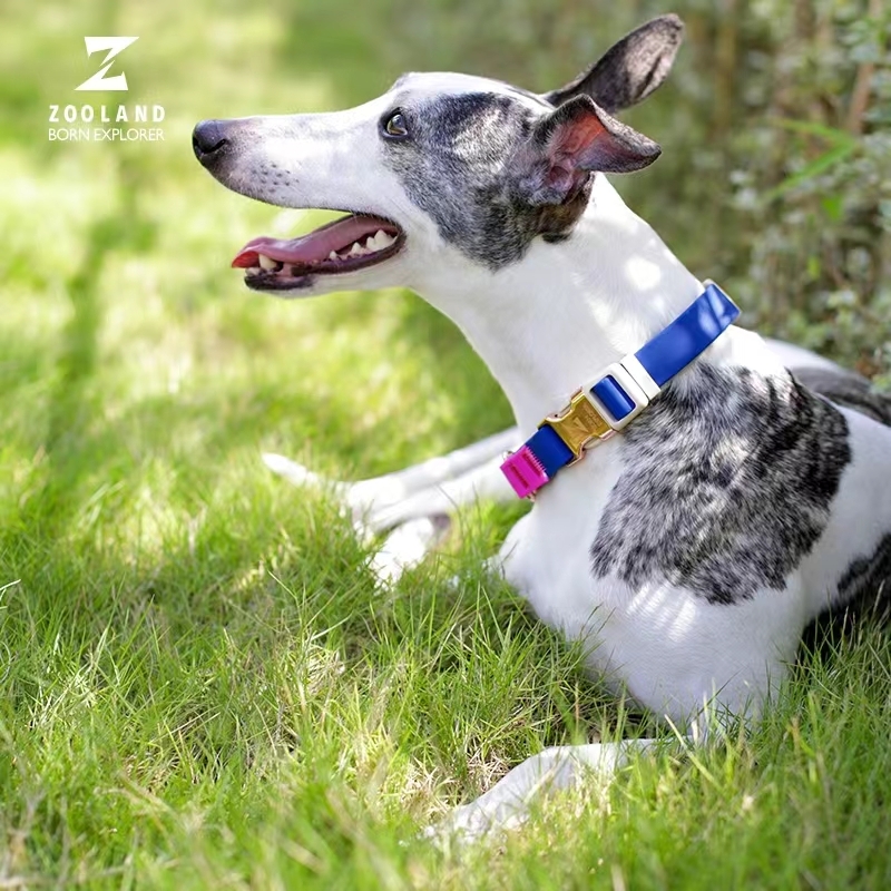 Zooland Dog Collar Collars Handmade PVC Working Dog Kennel Waterproof